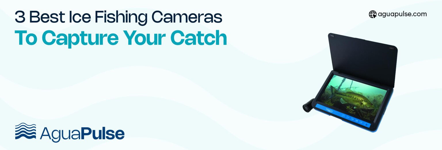 3 Best Ice Fishing Cameras To Capture Your Catch - AguaPulse