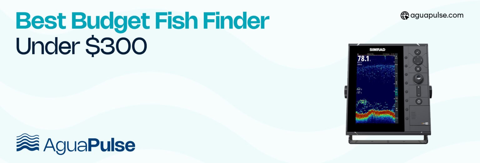 Best Budget Fish Finder Under $300 - AguaPulse