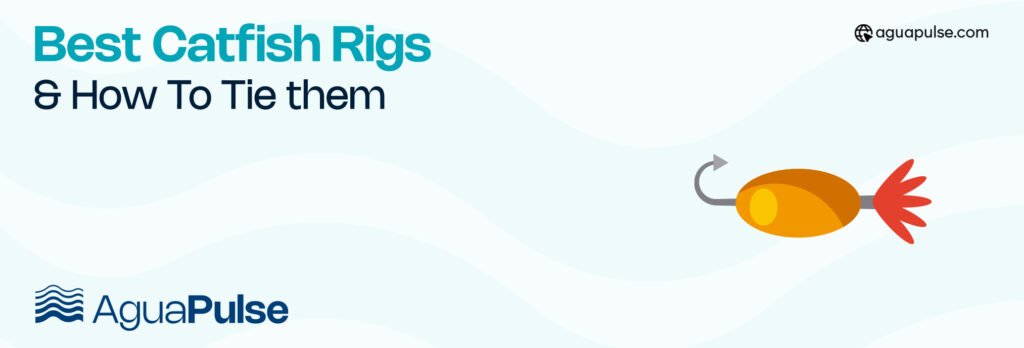 Best Catfish Rigs And How To Use Them - AguaPulse