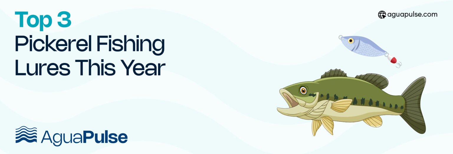 Top 3 Pickerel Fishing Lures This Year - AguaPulse